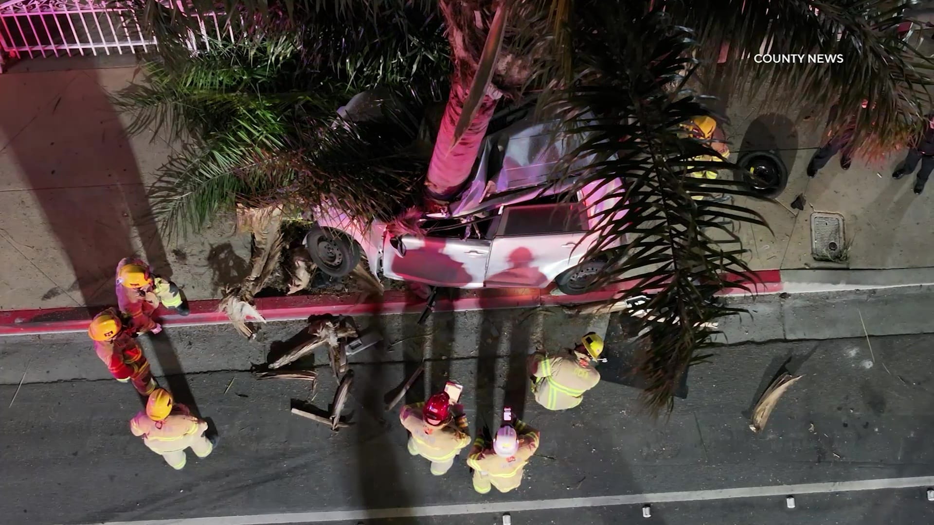 Santa Ana: Driver Dead After Wrapping Car Around Palm Tree - CountyNews.TV